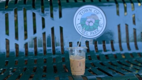 Asheville vs Laurel Park NC: Best Place to Live in the Mountains ...