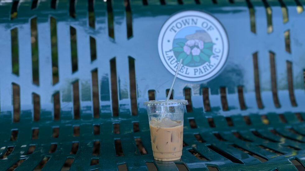 Asheville vs Laurel Park NC: Best Place to Live in the Mountains ...